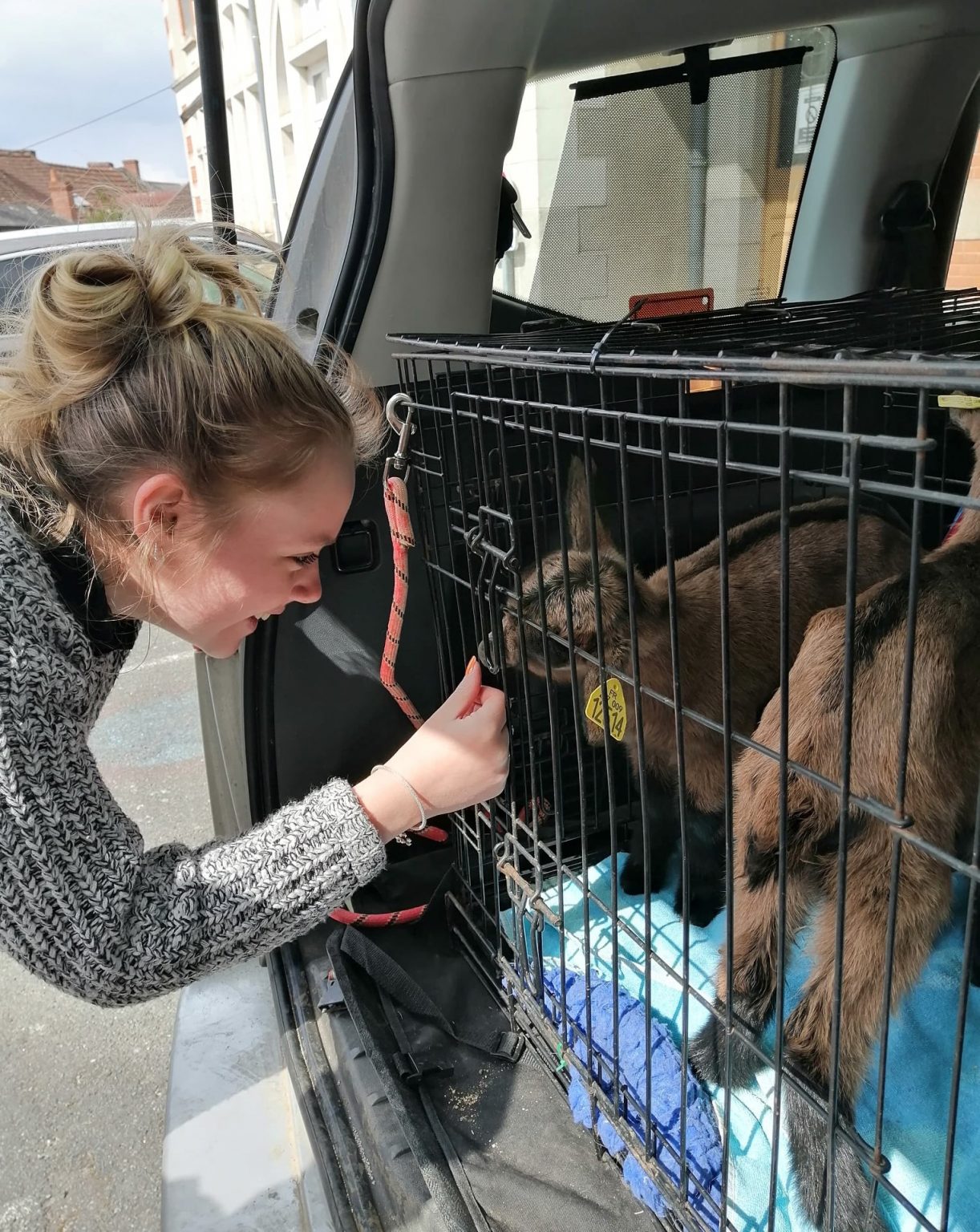 April Rescue – Darquinn Animal Rescue Association